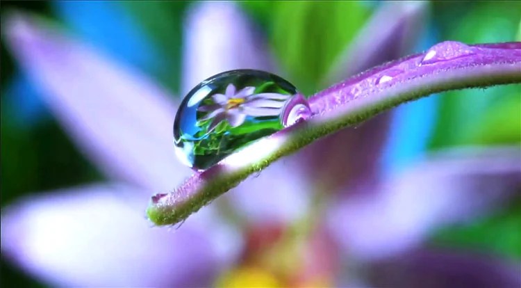 Never forget to be grateful – Welcome to My World!
